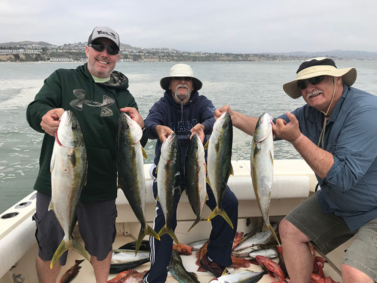 Fish Report - Dana Point Fishing Private Charters